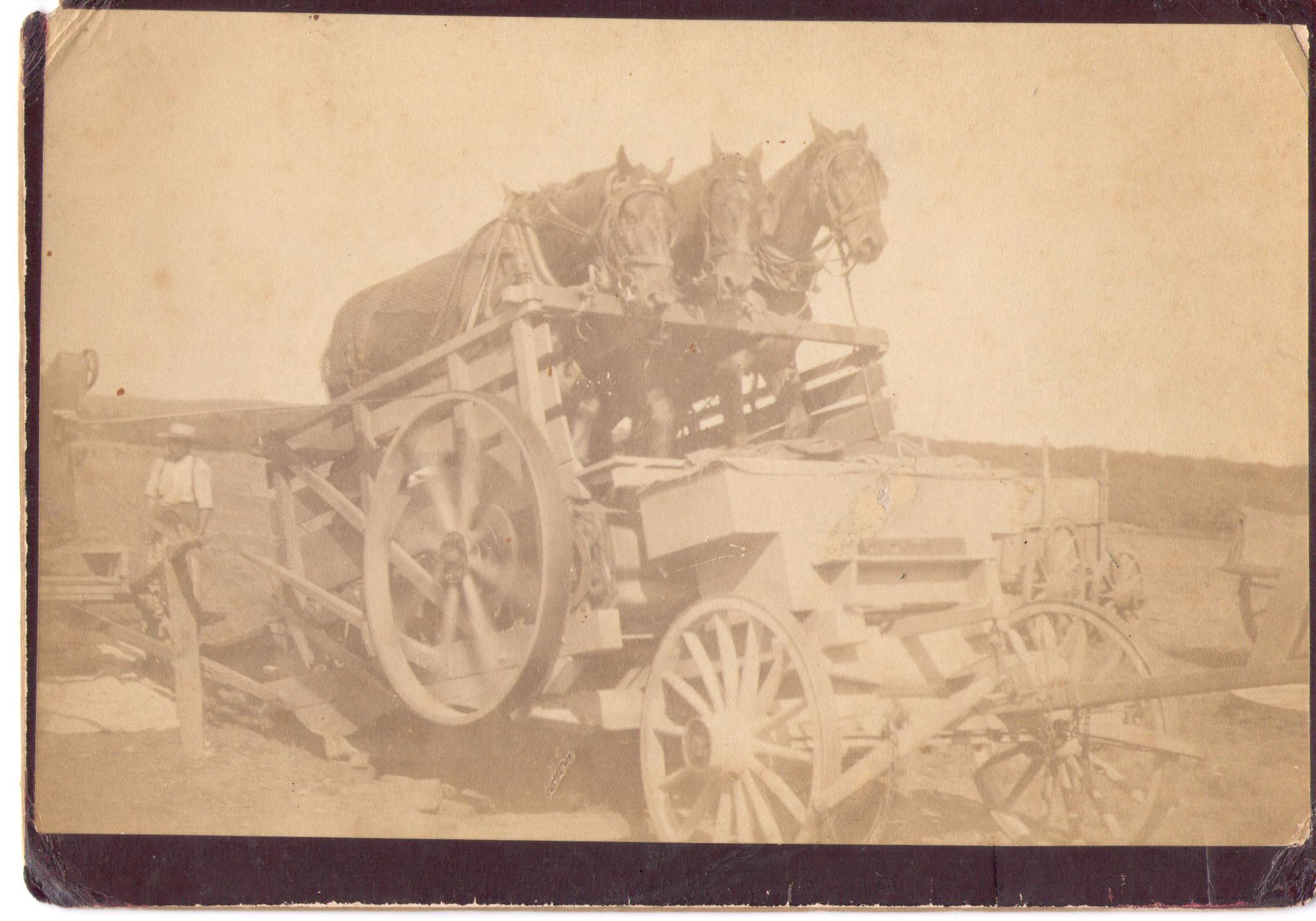 Horse powered threshing machine of Alex Kelly – Little Compton ...